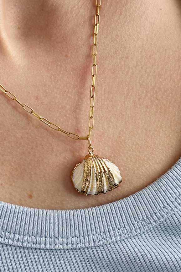 Summer Shells – Alison Fern Jewellery